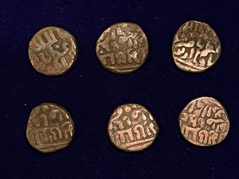Chola Dynasty Coin - coinsstuff