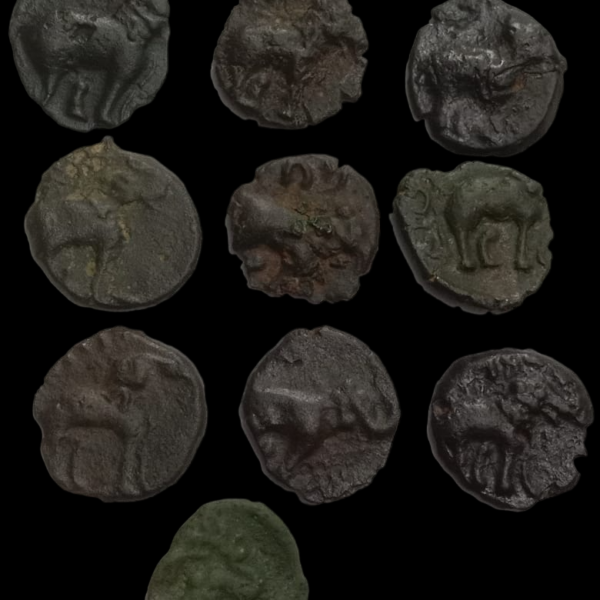 Pala Dynasty Coin - coinsstuff