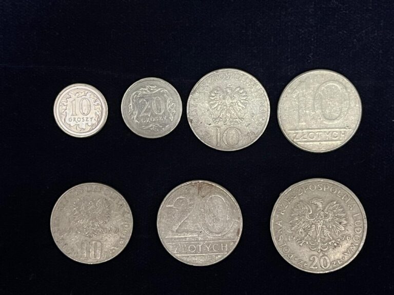 Vintage Polish Coin Set – Groszy & Złotych Collection - coinsstuff